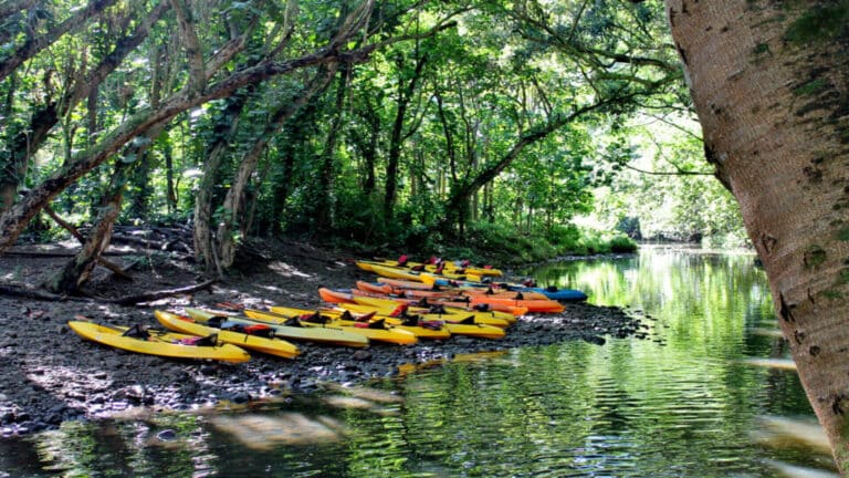 The Best Places to Go Kayaking Around Kauai